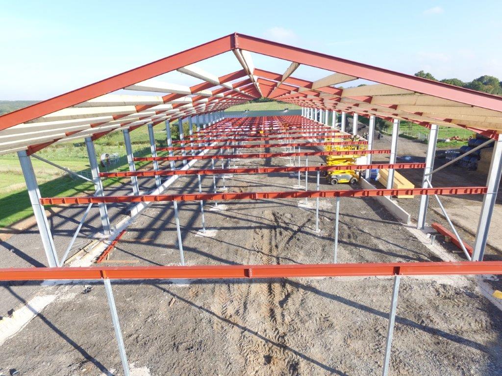 Powell & Co Construction | Double Decker Poultry Layer Unit and Egg Room