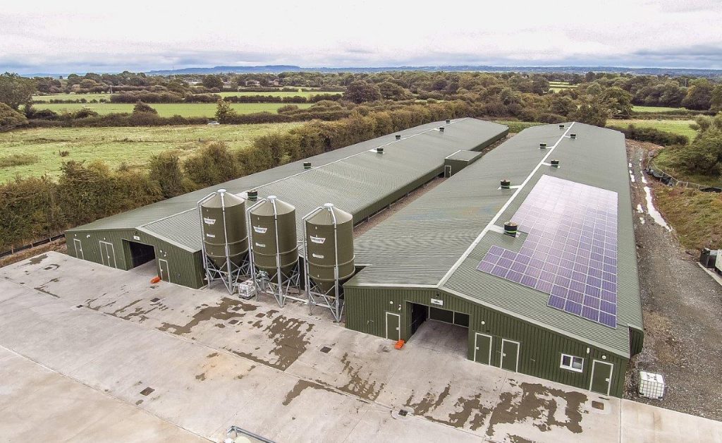 Broiler Poultry Houses designed and constructed by Powell & Co