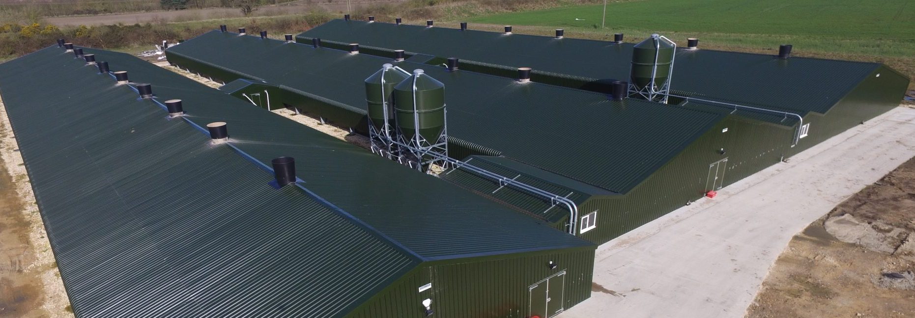 Powell & Co Construction Ltd | Breeder Layer Houses