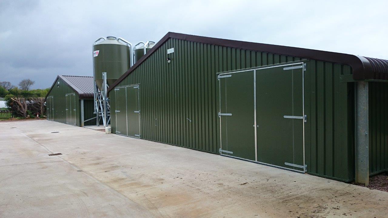 Powell & Co Layer Housing with Egg Storage and Amenity Block